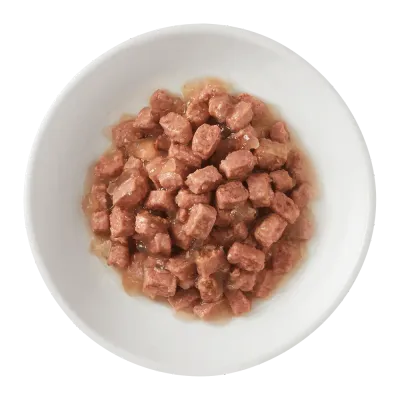 The Cool Cat Club - Proper food, delivered monthly